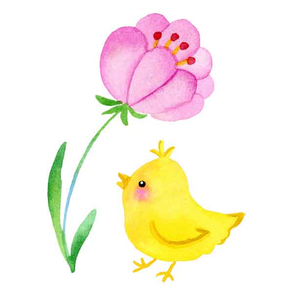 丘 | イラストレーター絵本作家Roko